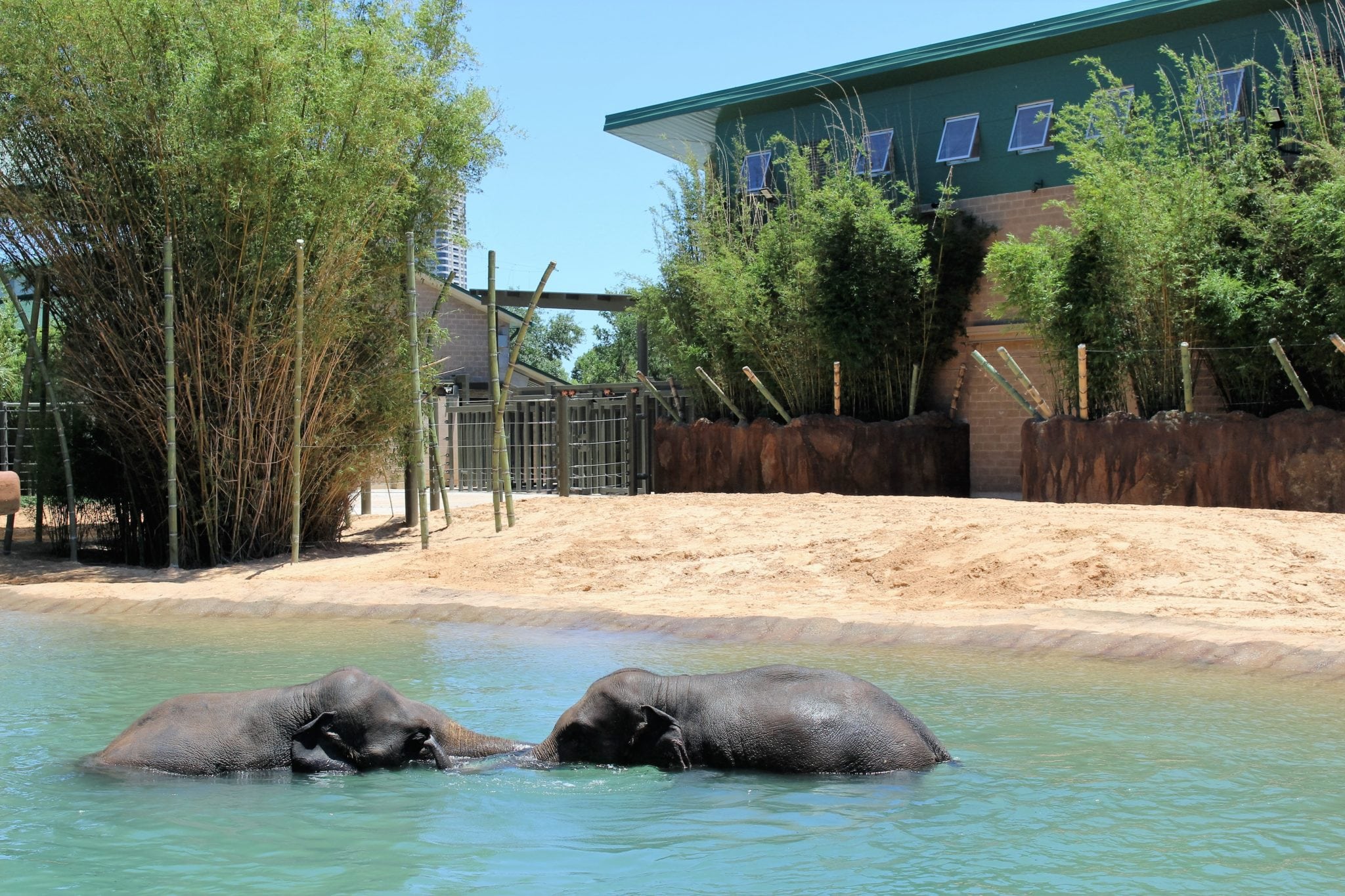Houston Zoo Elephant Barn & Yard - DBR