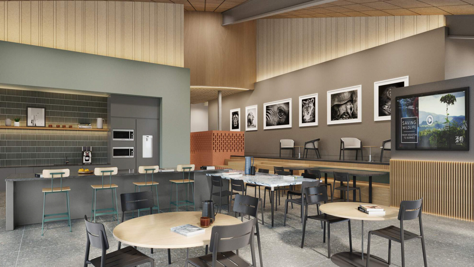 Houston Zoo North & South Admin Buildings Renovation - DBR